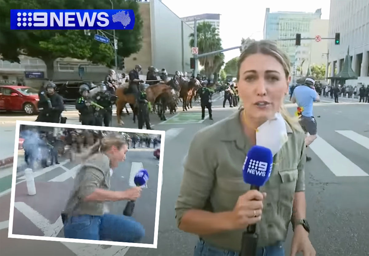 Reporter Shot By Cops On Live TV While Covering LA Protests! Watch ...