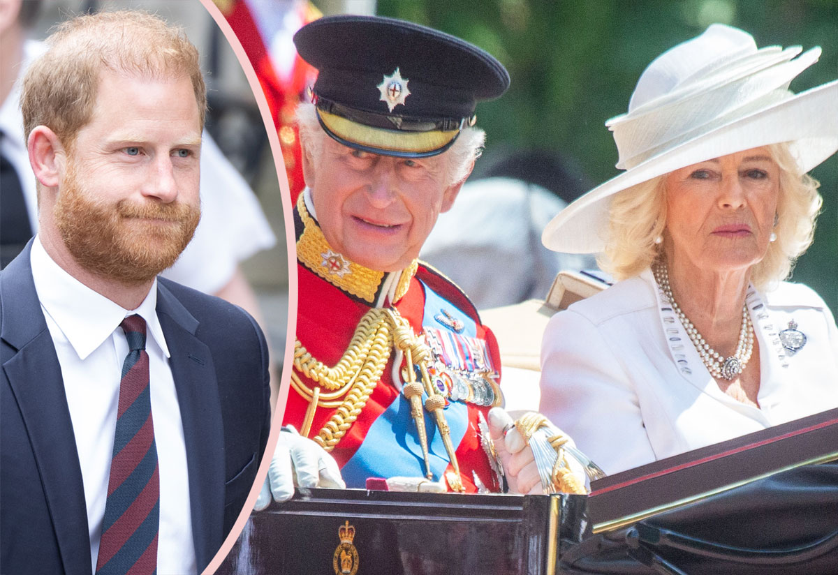 King Charles Snubs Prince Harry In Father’s Day Post After He Expresses Hope For Reconciliation ...