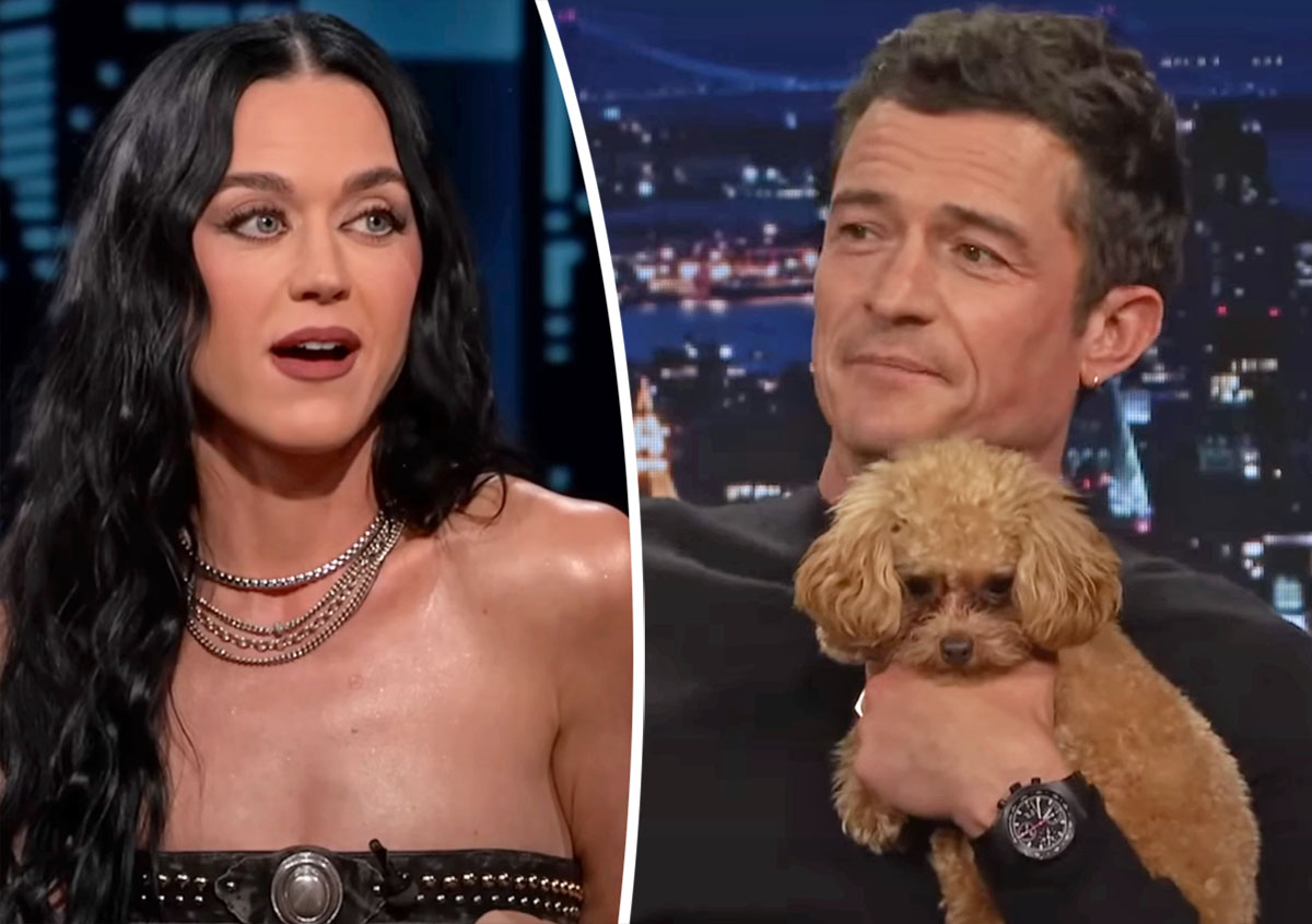 Orlando Bloom Brings ‘Emotional Support’ Dog With Him To Tonight Show Amid Reports Katy Perry ...