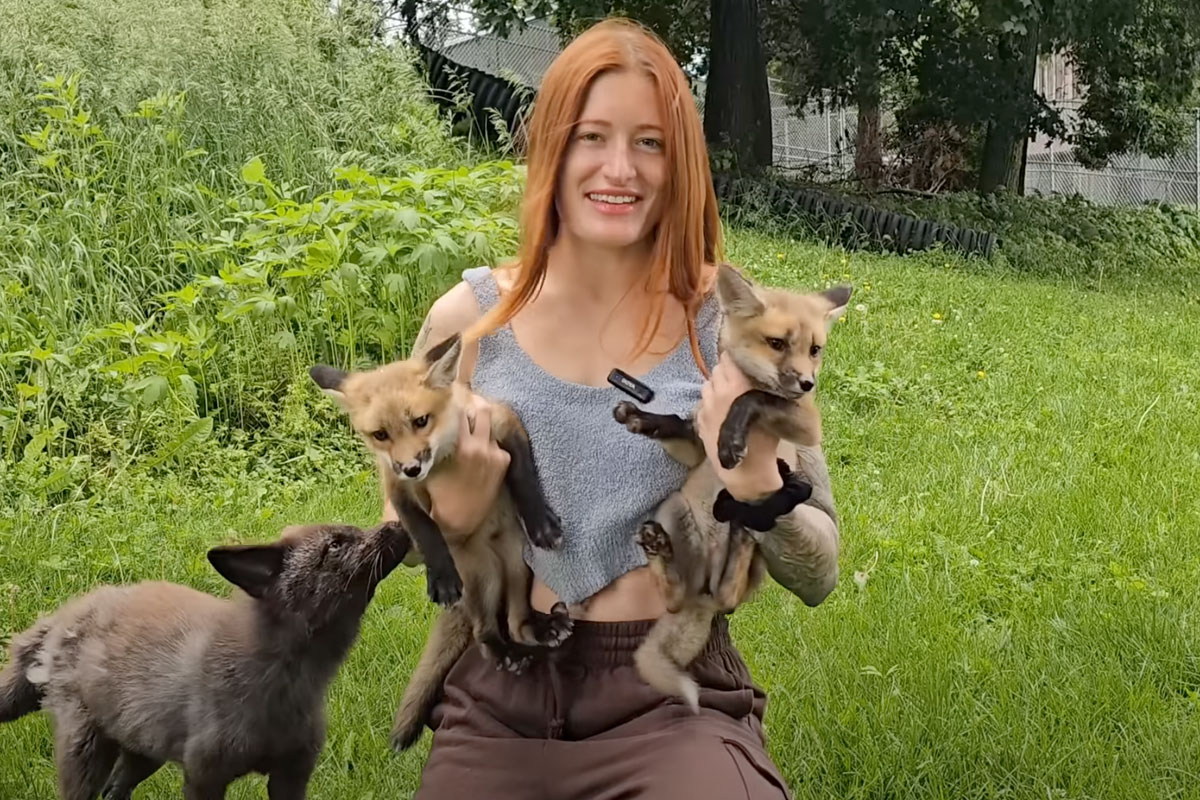 Beloved YouTuber & Fox Rescue Founder Dies By Suicide Following ...
