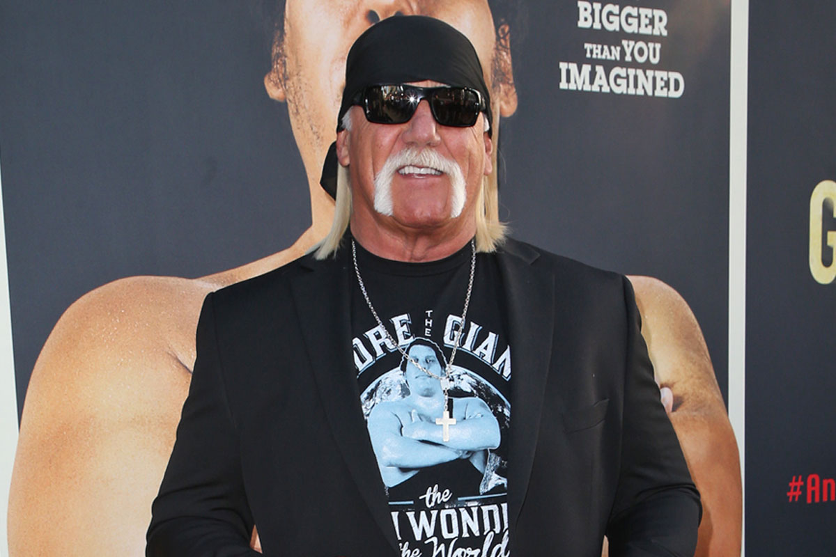 Hulk Hogan's Friends 'Shocked' By Sudden Death - He Was 'Texting' Like ...