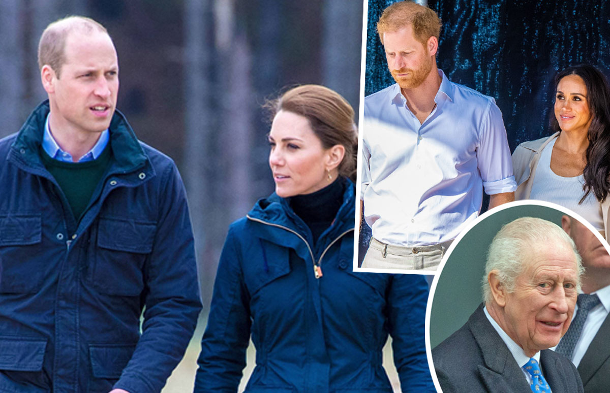 What Prince William & Princess Catherine Think Of Harry's 'Peace' Talks ...