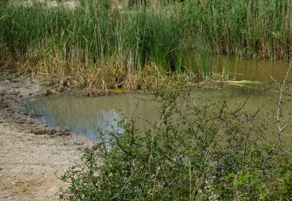 2 Missing Little Girls Found Dead In Septic Pit - Sisters' Tragic Story ...
