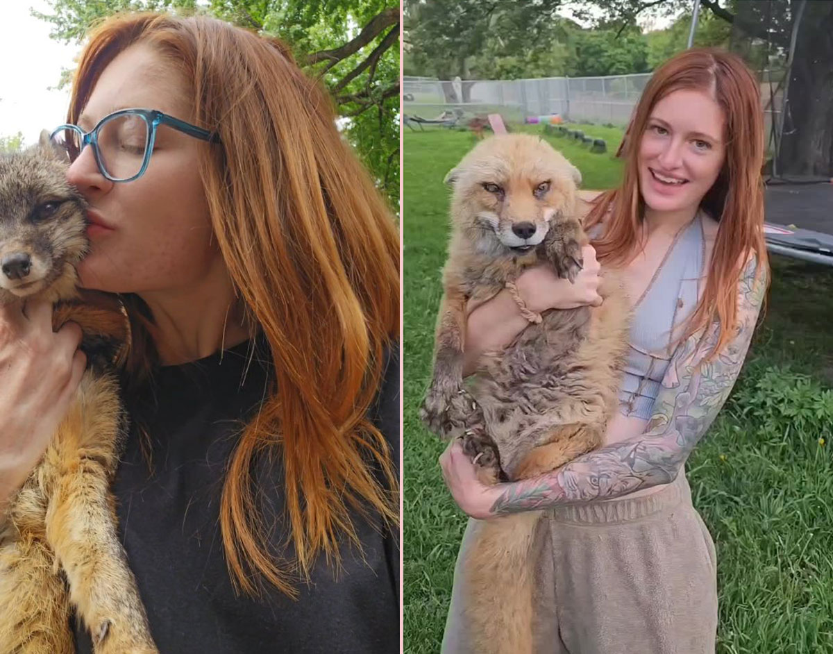 Beloved YouTuber & Fox Rescue Founder Mikayla Raines' Tragic Cause Of ...