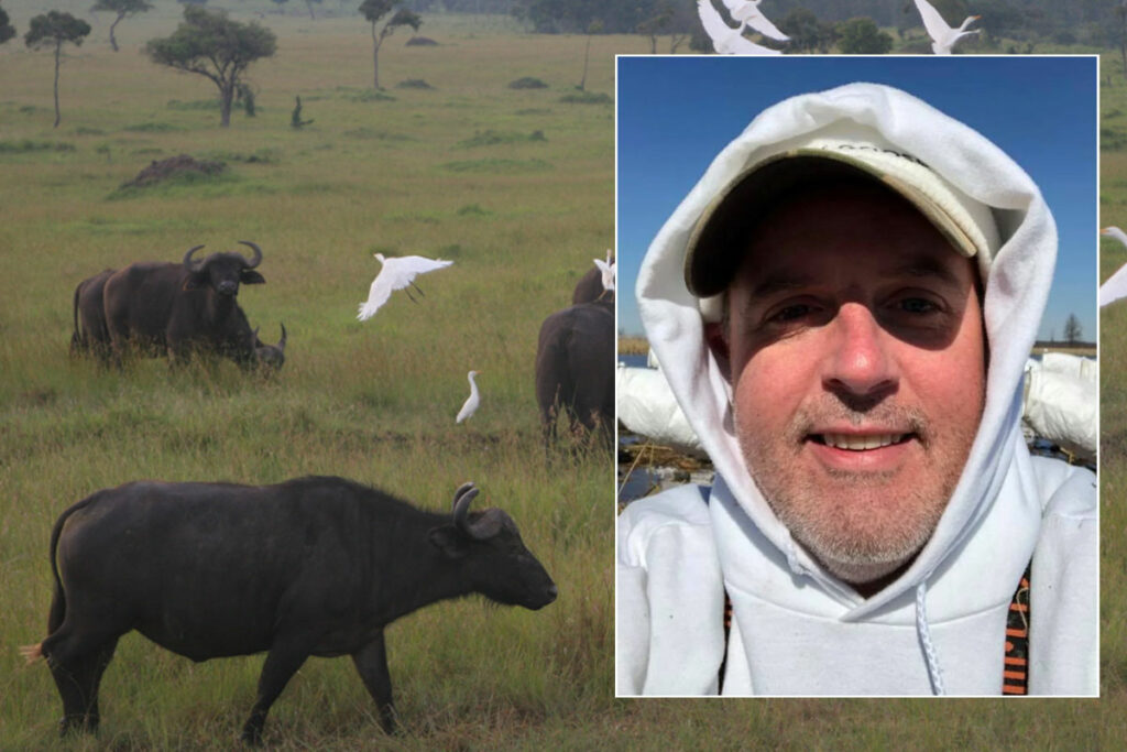 Millionaire Trophy Hunter Killed By Buffalo He Was Hunting - Perez Hilton