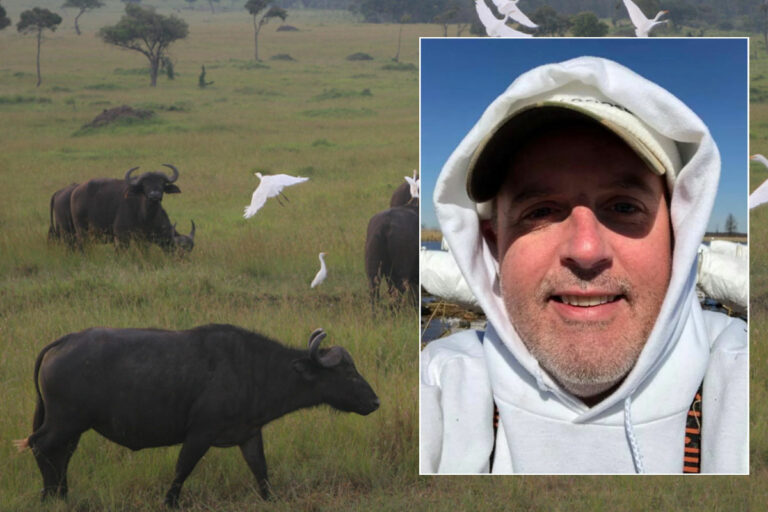 Millionaire Trophy Hunter Killed By Buffalo He Was Hunting - Perez Hilton