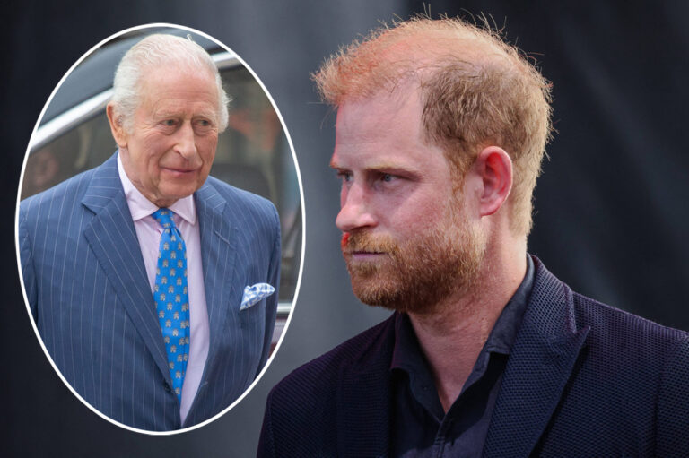 Prince Harry Slams 'False' Claims About King Charles Reunion - And Those 'Sabotaging ...