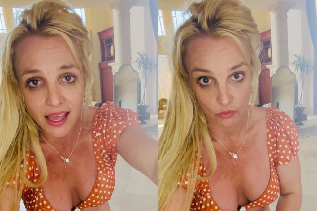 Britney Spears' Family Concerned She's 'Having An Episode' In Mansion Covered In Dog Feces ...