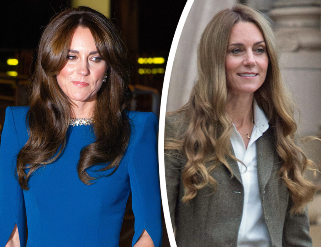 Princess Catherine ALREADY Back To Brunette After Shocking Blonde Move - Was She Bullied To ...