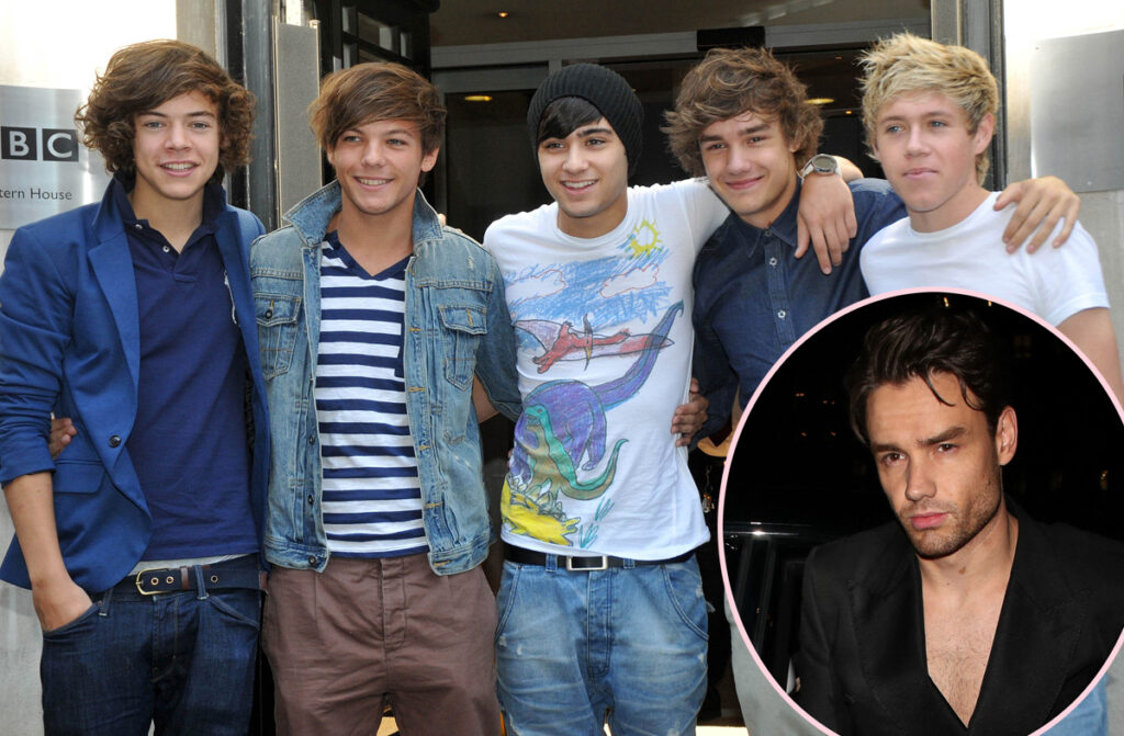 One Direction Members Reuniting For New Show After Liam Payne's Death: REPORT - Perez Hilton