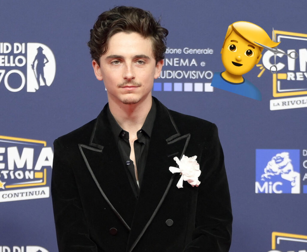 Timothée Chalamet Fans Freak Out As He Reveals Shocking Buzzcut ...