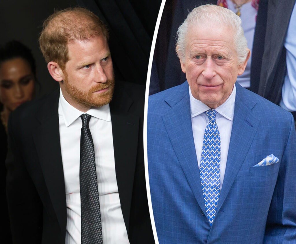 Prince Harry Tries New Strategy To Obtain Security Amid Stalker Scare ...